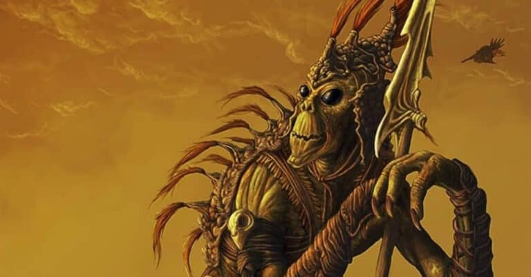 Full Guide to Playable Character Races in DnD 5e