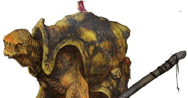 Full Guide to Playable Character Races in DnD 5e
